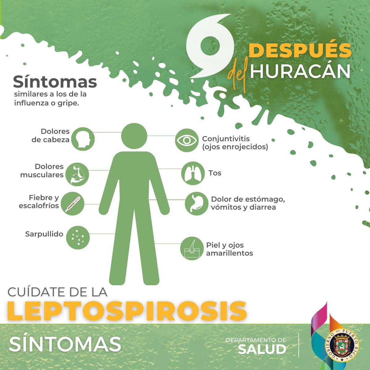 Leptospirosis