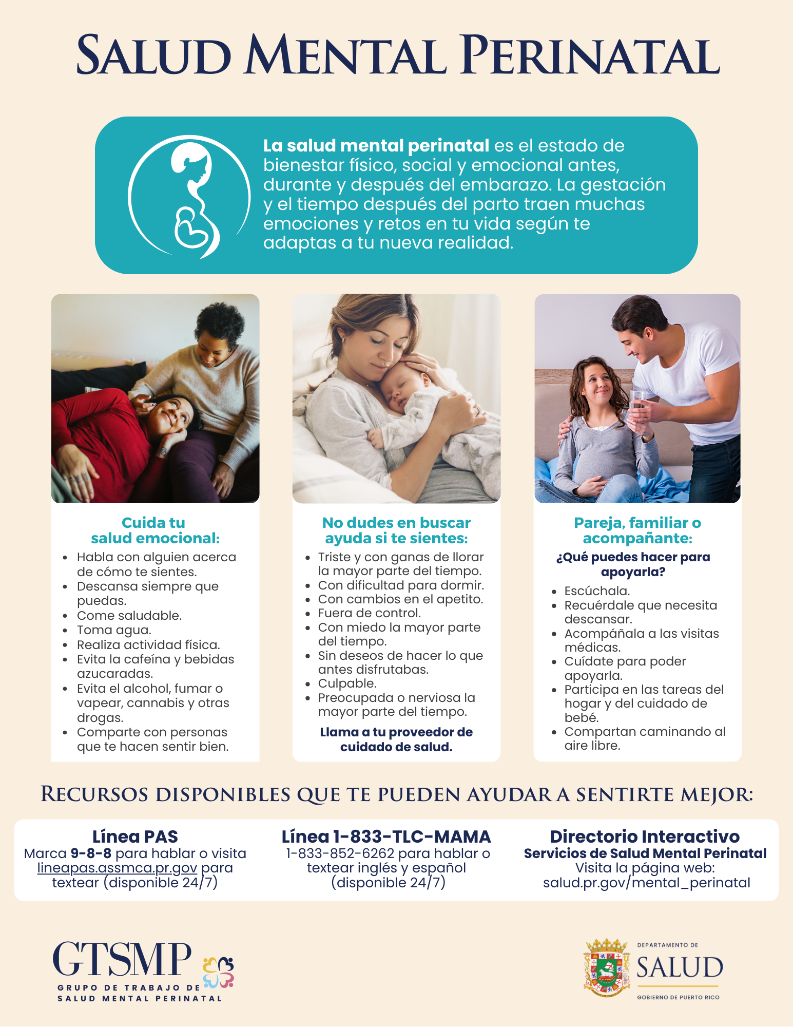 Salud Mental Perinatal
